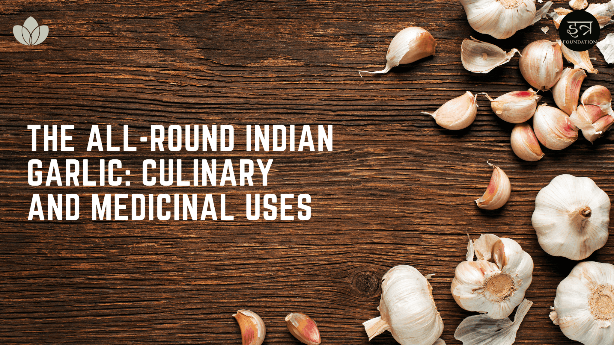 The All-Round Indian Garlic: Culinary and Medicinal Uses - Itra Foundation