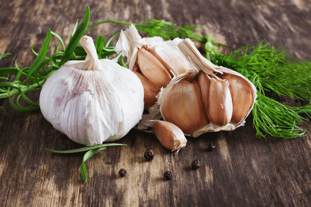 The All-Round Indian Garlic: Culinary and Medicinal Uses - Itra Foundation