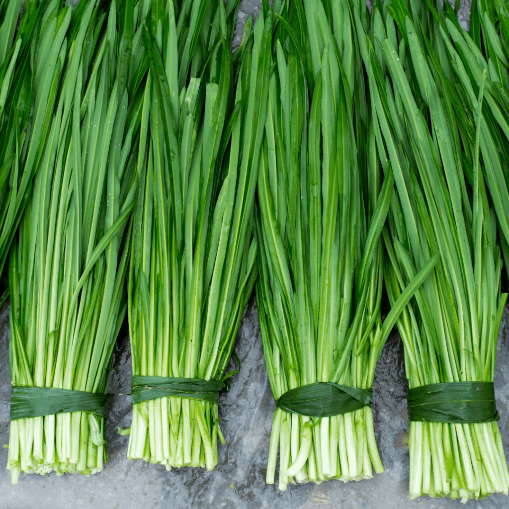 Herbs 101: How to Grow and Cook with Basil, Chives, Oregano, Lavender ...