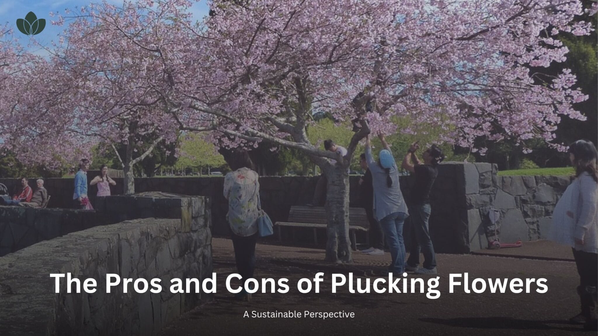 The Pros and Cons of Plucking Flowers - Itra Foundation
